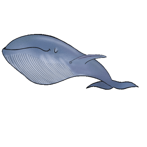 Blue Whale Sticker for iOS & Android | GIPHY