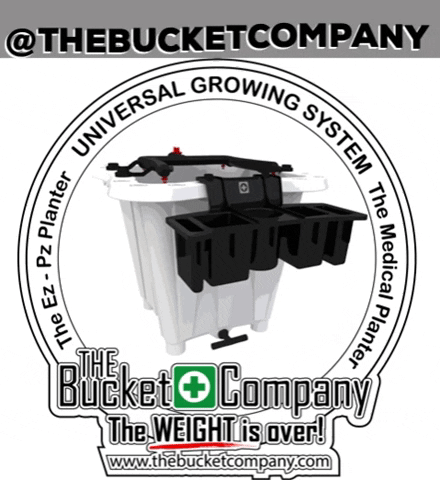 The Bucket Company GIFs on GIPHY - Be Animated