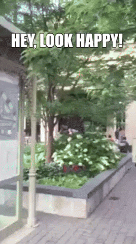 Hey Look Happy GIFs - Get the best GIF on GIPHY