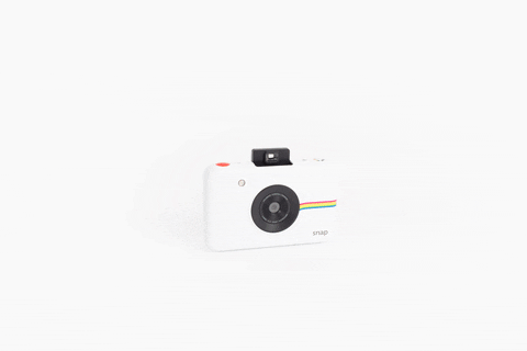 Instant-photography GIFs - Get the best GIF on GIPHY