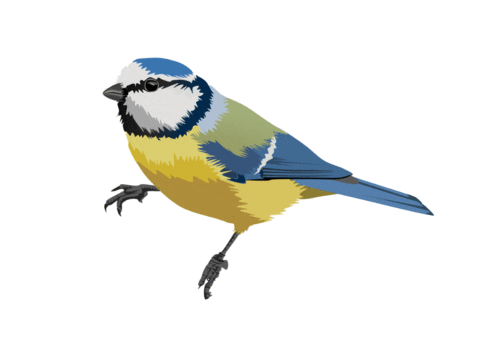 Bird Sticker by RSPB for iOS & Android | GIPHY