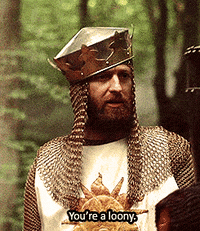 Monty Python And The Holy Grail Camelot Gif