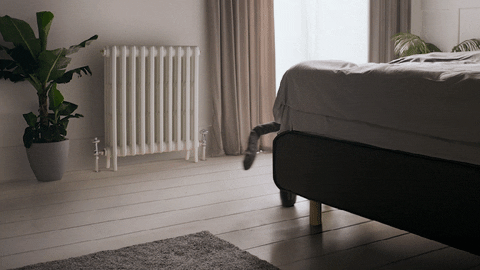 Dancing-sloth GIFs - Get the best GIF on GIPHY