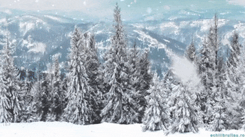 Winter Lovers GIFs and Stickers Collection by echilibrultau | GIPHY