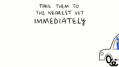 Illustration Save Them All GIF by Best Friends Animal Society - Find ...