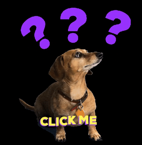 Erasmus Star GIFs - Get the best GIF on GIPHY