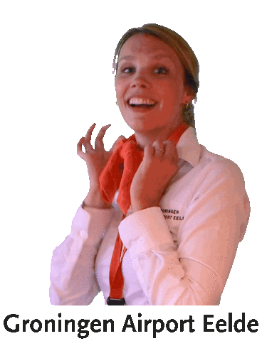 Groningen Airport Eelde GIFs on GIPHY - Be Animated