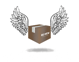 Free Shipping GIFs - Find & Share on GIPHY