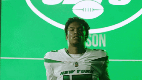 Widereceiver GIFs - Get the best GIF on GIPHY