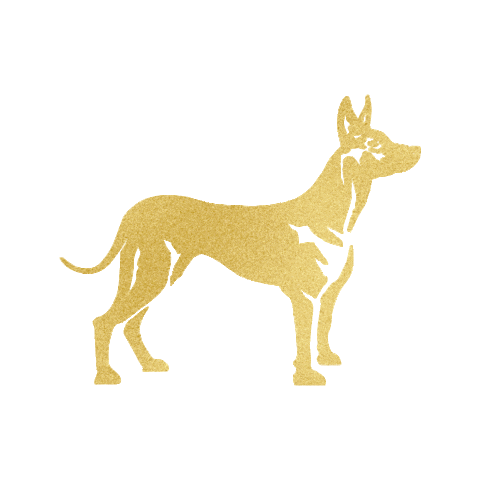 XOLO Real Estate GIFs on GIPHY - Be Animated