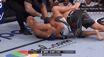 Top 10 UFC GIFs From 2022! by Sports GIFs | GIPHY