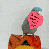 Have A Good Day Gif Cute