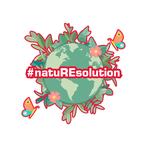 Environment Biodiversity GIF by Mahindra Rise - Find & Share on GIPHY