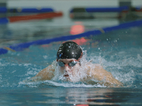 Butterfly Stroke GIFs - Get the best GIF on GIPHY