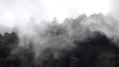 Animated Fog Gif