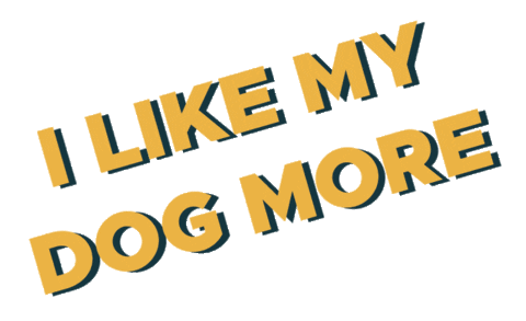 Best Dog Gifs by Diggs Pet | GIPHY
