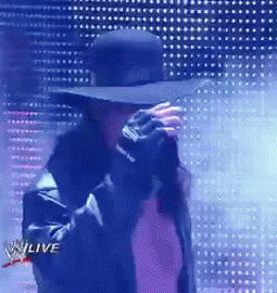 Undertaker Coffin GIFs - Find & Share on GIPHY