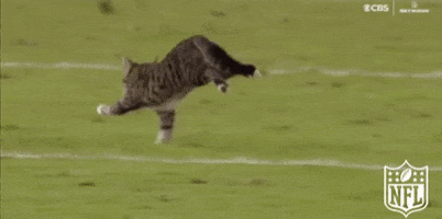 Open Kitchen GIFs on GIPHY - Be Animated