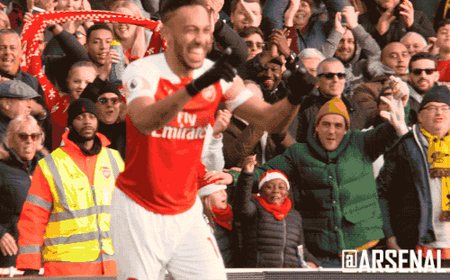 Premier League Yes GIF by Arsenal - Find & Share on GIPHY