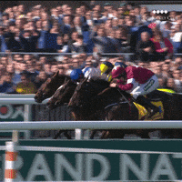 Horse Racing Gif
