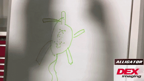 Draw Something GIFs - Get the best GIF on GIPHY