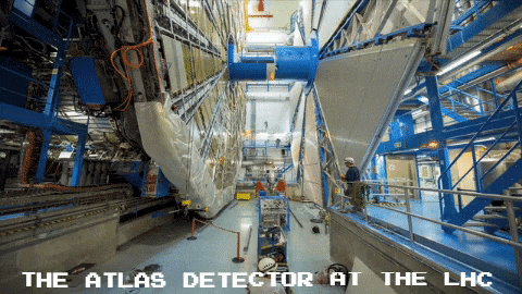 Atlas Lhc GIF by CERN - Find & Share on GIPHY