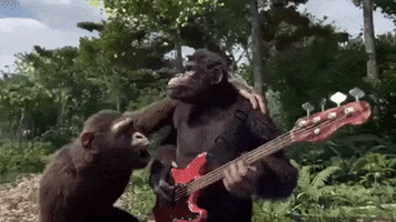 Adventure Of A Lifetime GIF by Coldplay - Find & Share on GIPHY
