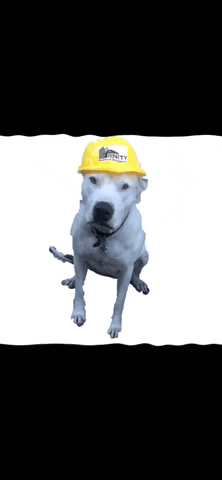 Dog Construction GIF by Trinity Builders & Design, Inc. - Find & Share ...