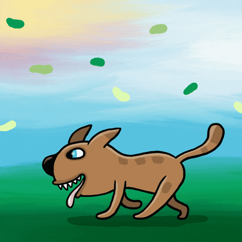 Dog Walk GIFs - Find & Share on GIPHY
