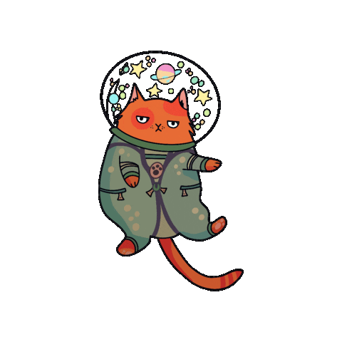 Space Cat Gifs