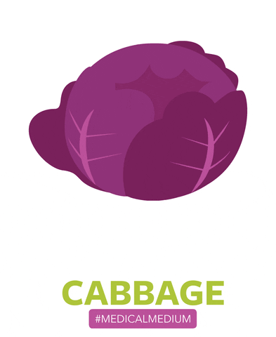 Redcabbage GIFs - Get the best GIF on GIPHY