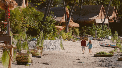 Beach Walk GIF by TicketToParadise - Find & Share on GIPHY