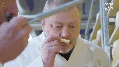 Swedish Cheese GIFs - Get the best GIF on GIPHY