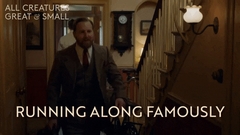 Busy House GIFs - Get the best GIF on GIPHY