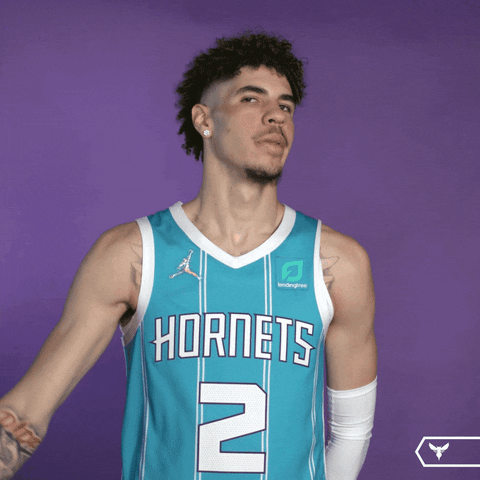 LaMelo Ball GIFs on GIPHY - Be Animated