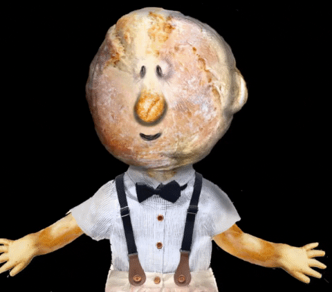 Timbit GIFs - Get the best GIF on GIPHY