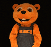 OBI bober GIFs on GIPHY - Be Animated