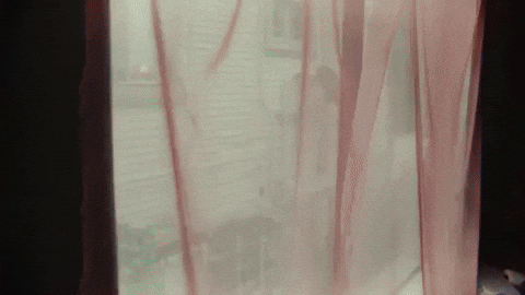 Pulling Back Curtain GIFs - Get the best GIF on GIPHY