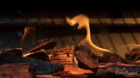 Grillwurst GIFs - Get the best GIF on GIPHY