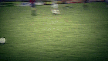 Roberto Baggio GIFs on GIPHY - Be Animated