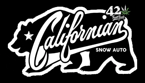California Snow GIFs - Get the best GIF on GIPHY