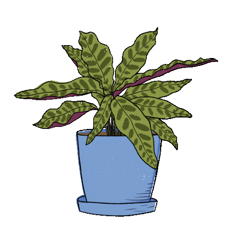 My Life in Plants GIFs on GIPHY - Be Animated