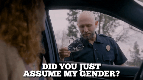 Bees-are-in-the-car GIFs - Get the best GIF on GIPHY