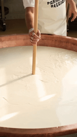 Cheese Parmesan GIF by Parmigiano Reggiano - Find & Share on GIPHY