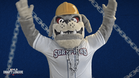 Mahoning Valley Scrappers GIFs on GIPHY - Be Animated