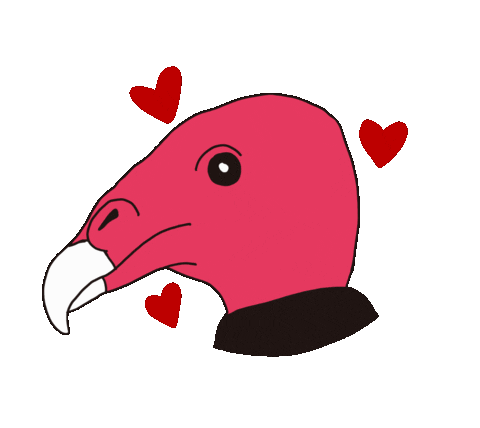 Vultures Gif