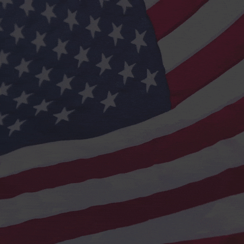 Independent National Convention 2024 GIFs on GIPHY - Be Animated