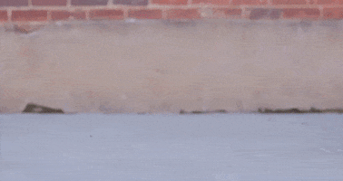 Opie Way GIFs on GIPHY - Be Animated