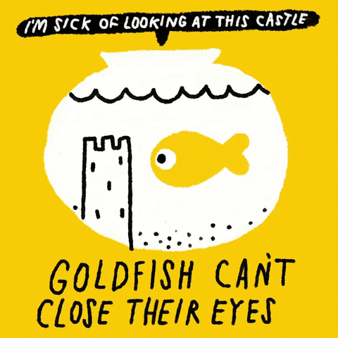 Aww-look-at-that-face GIFs - Get the best GIF on GIPHY