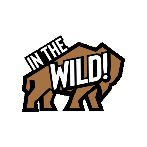 ROAM Roof & Solar GIFs on GIPHY - Be Animated